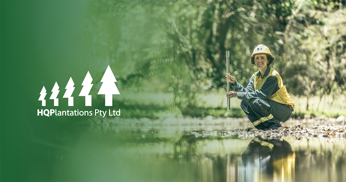 Pennings Harvest and Re-establishment | HQPlantations